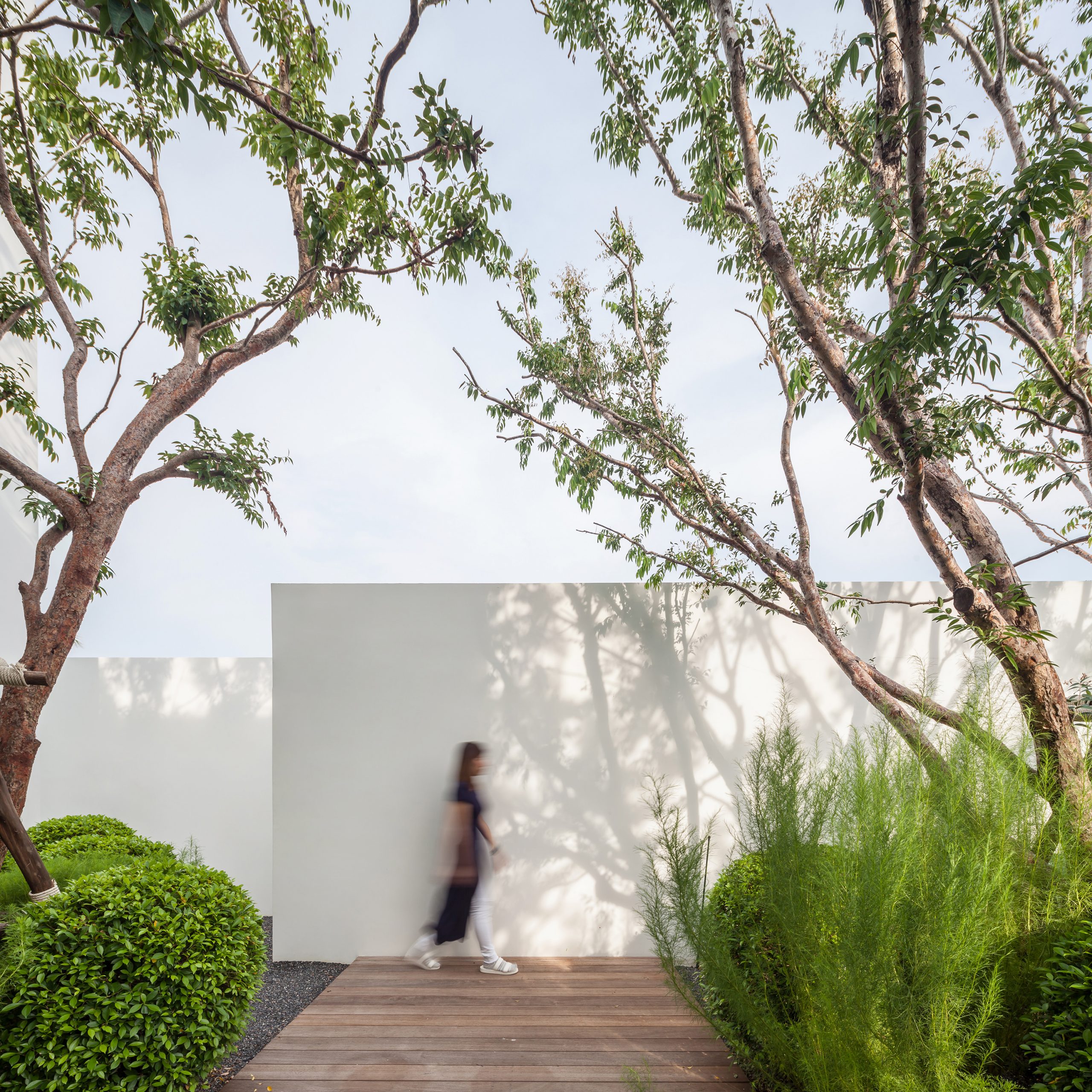 TROP – terrains + open space